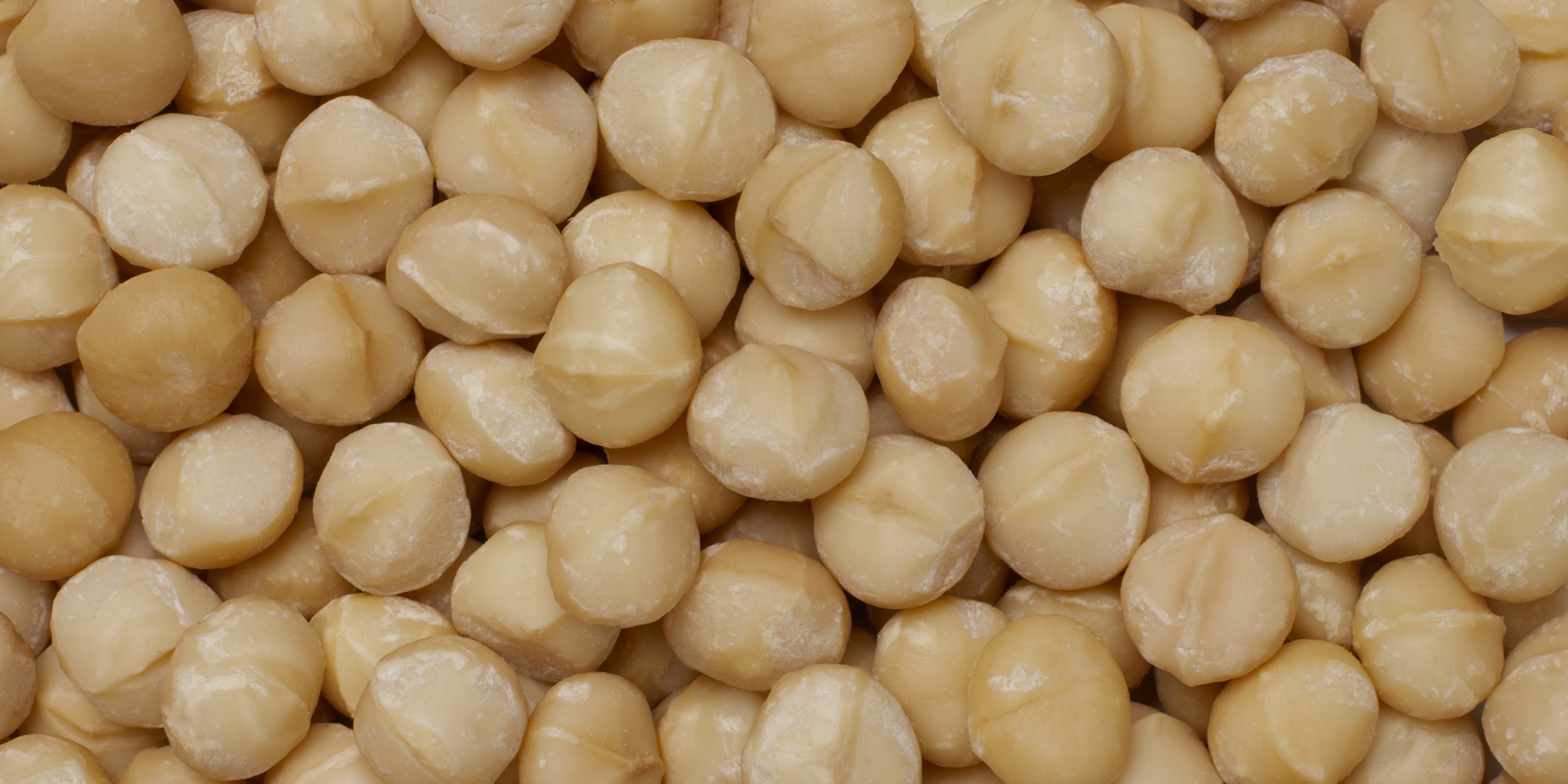 Premium Macadamia Nuts - Bulk and Retail – Elgon Nuts